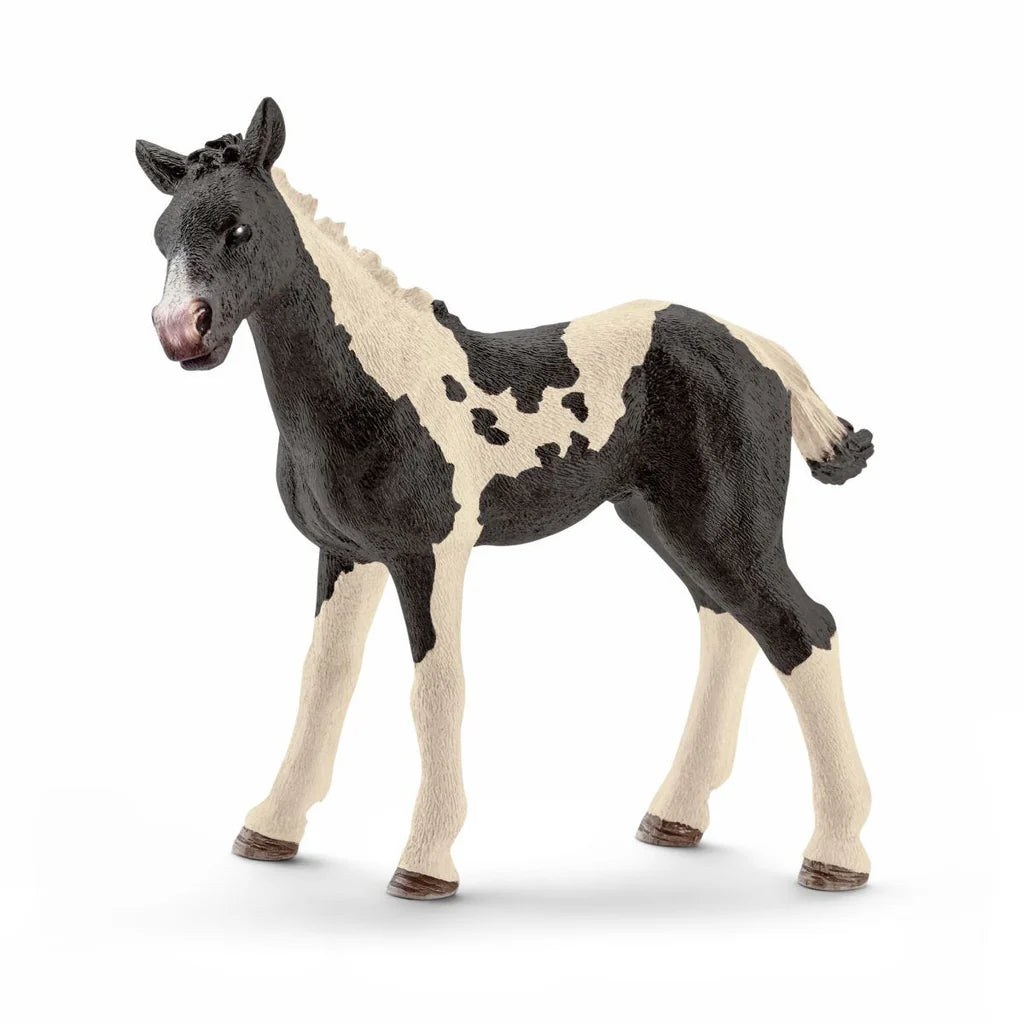 Schleich - Pinto Foal | The Play Room