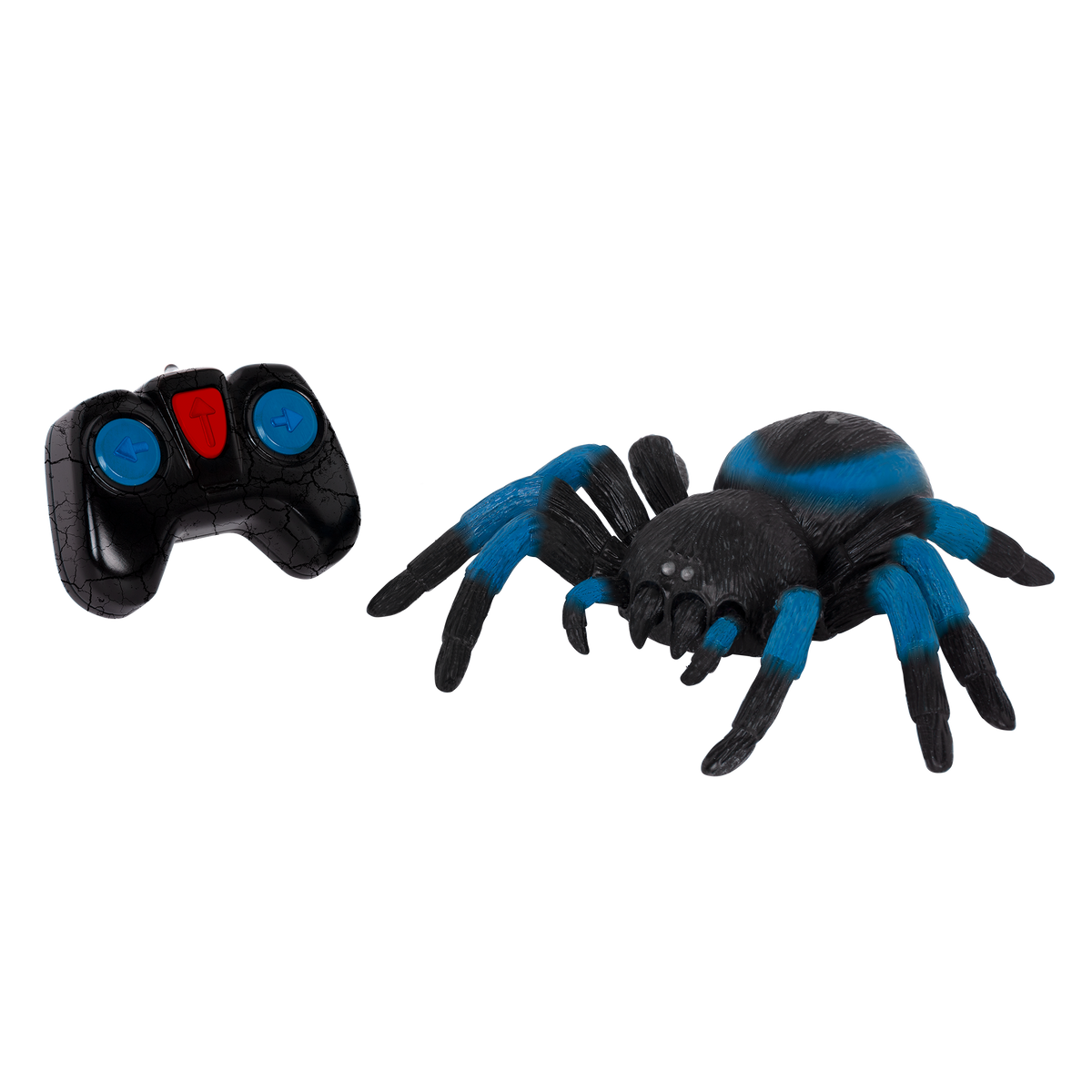 Terra - Remote Controlled Spider - Tarantula Blue | The Play Room