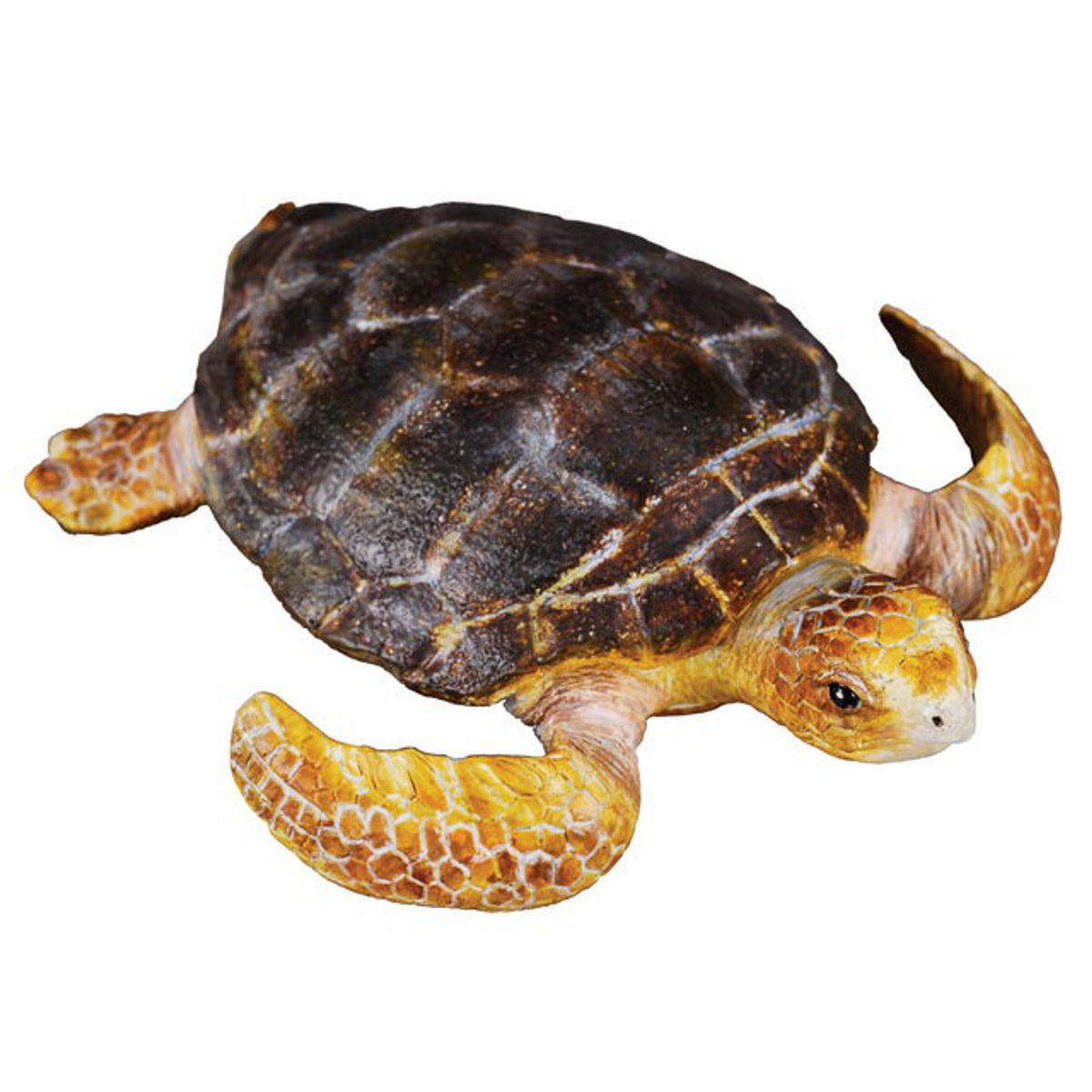 Collecta - Loggerhead Turtle | The Play Room