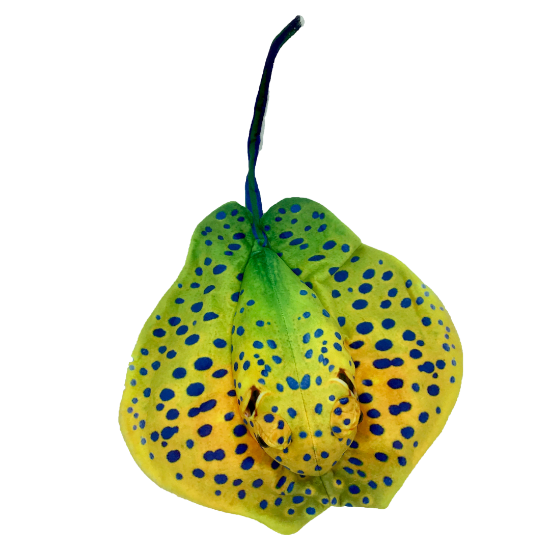 Huggable - Solomon Stingray 50cm | The Play Room