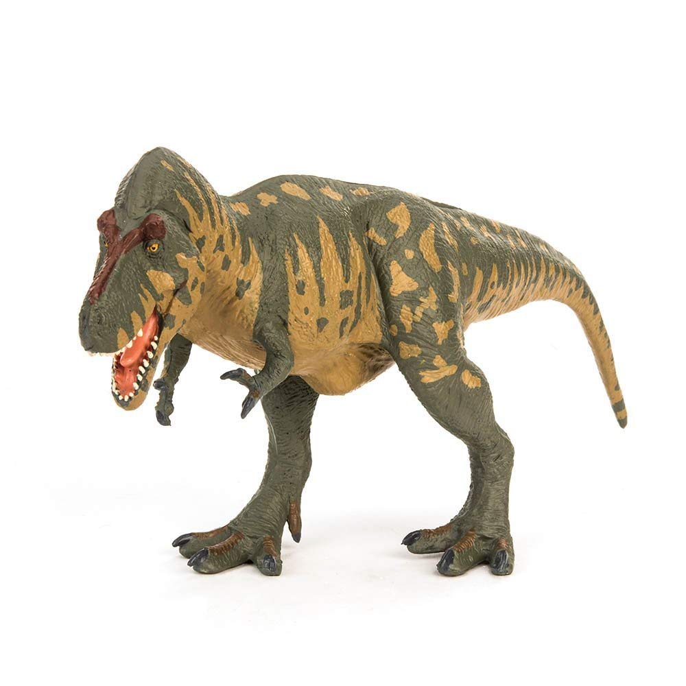 Terra - Dinosaur Tyrannosaurus | The Play Room