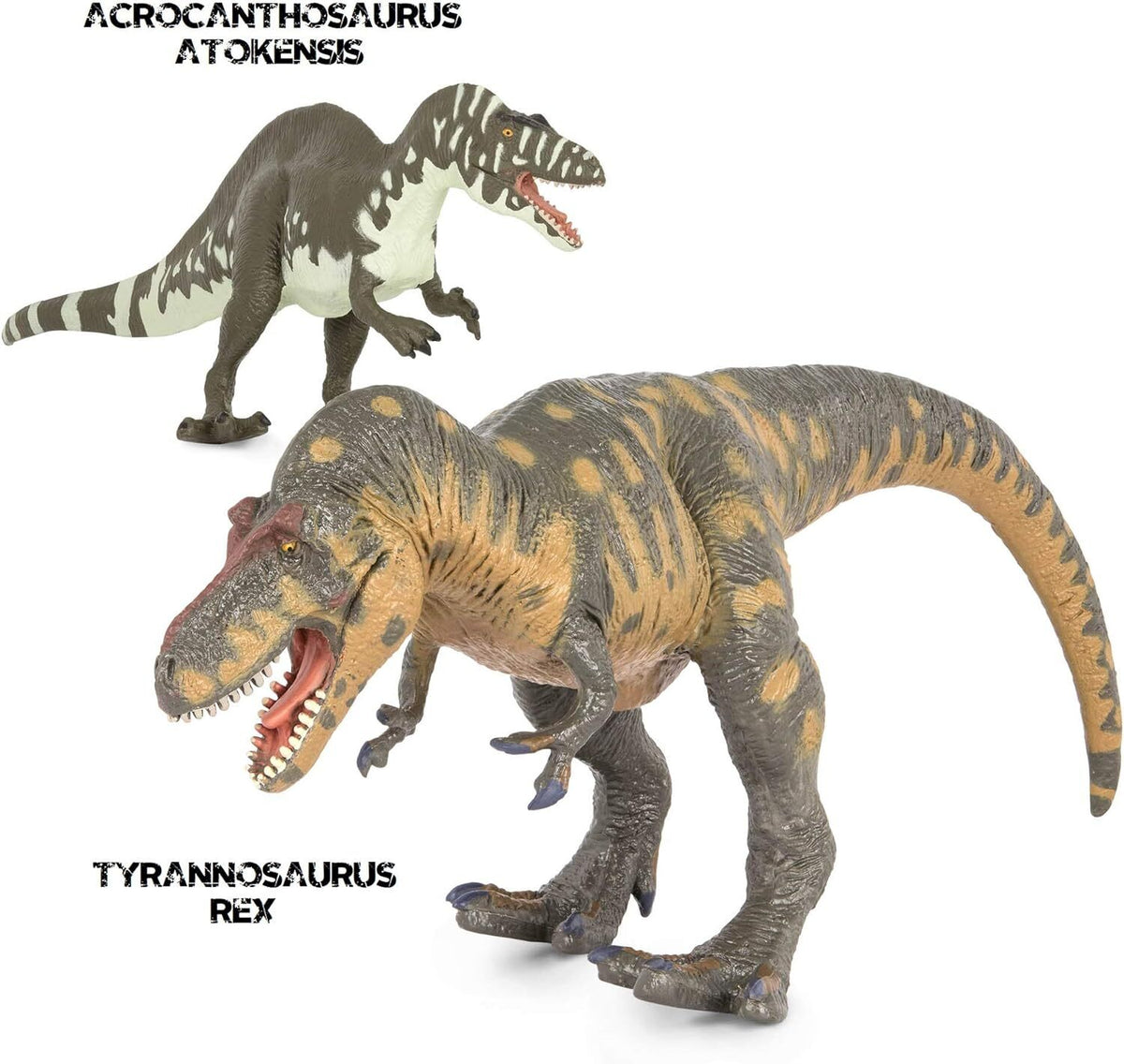 Terra - Dinosaur Set (2) | The Play Room