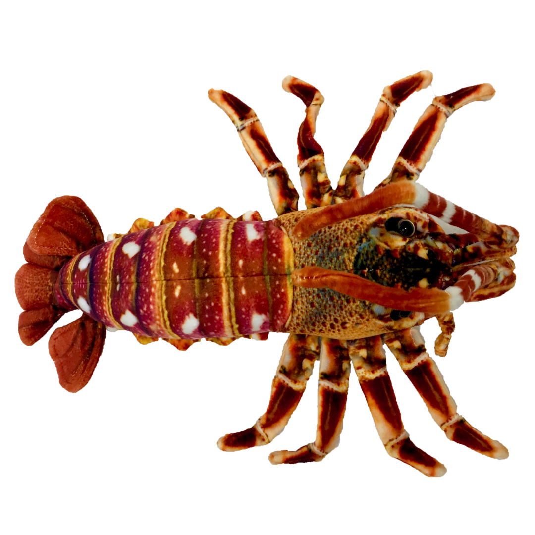 Huggable - Corney Crayfish 32cm | The Play Room