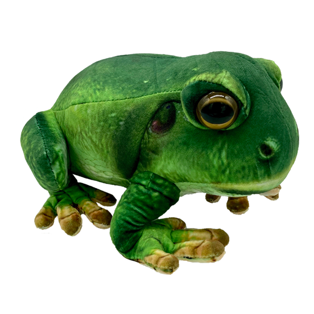 Huggable - Francis Frog | The Play Room