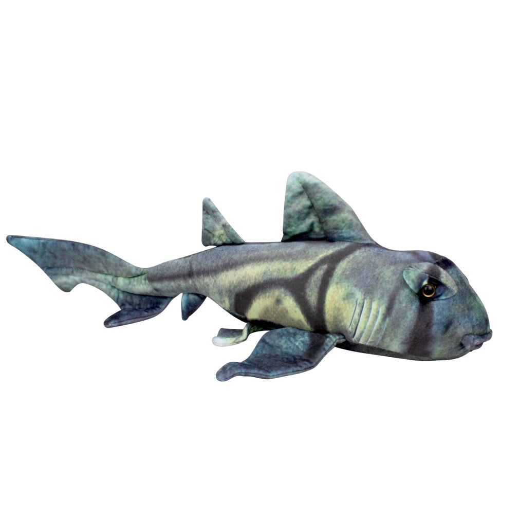 Port Jackson Shark Huggable Port Jackson Shark | The Play Room